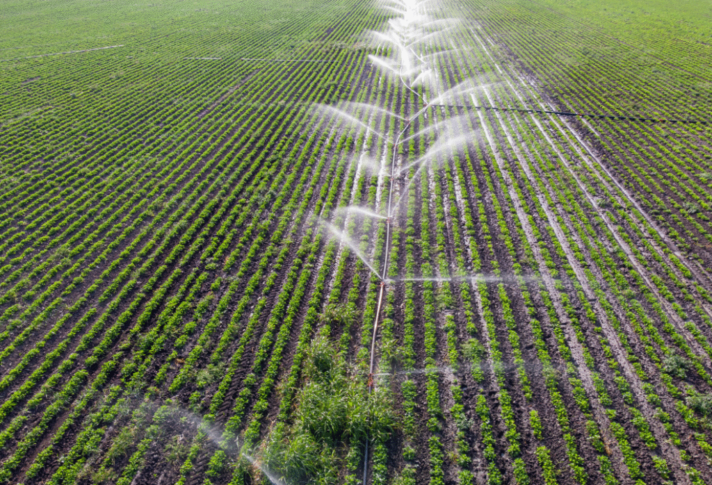From Farm to Bay: How Land Use Affects Water Quality - Watershed Counts
